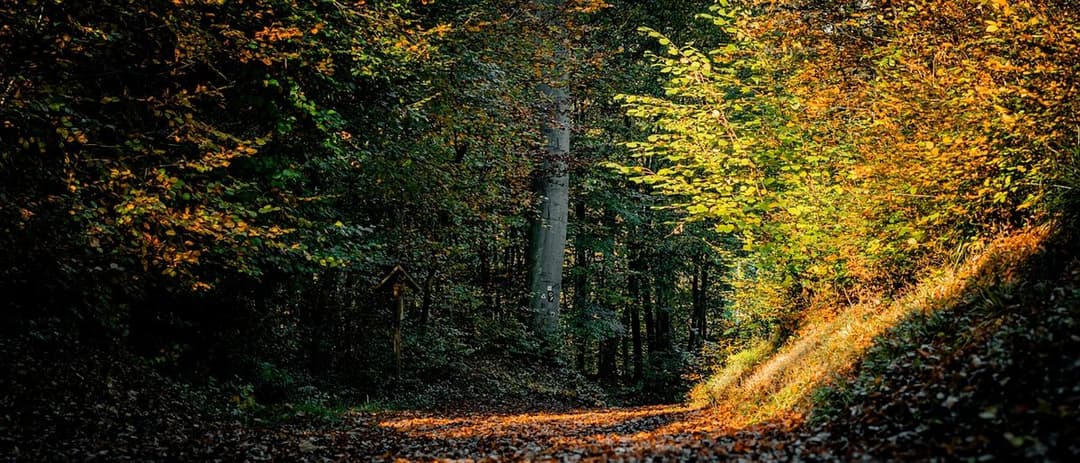 Autumn Equinox 2026: Exact Date, Time, and Meaning - Your Complete ...